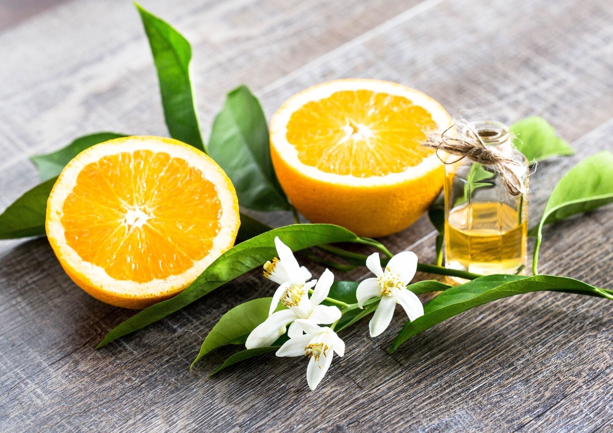 The History and Symbolism of Neroli in Skincare – Quinta Esencia Wellness